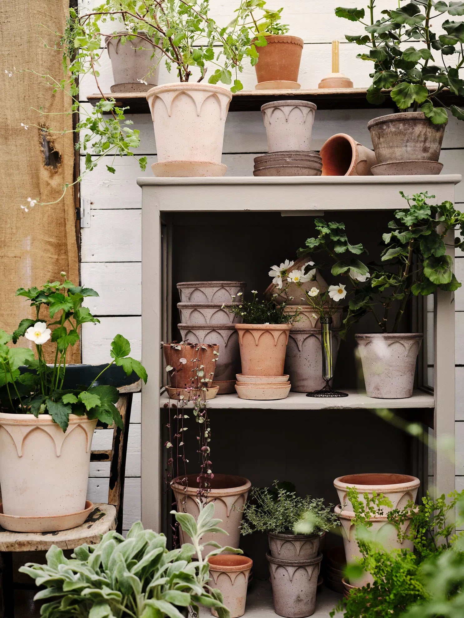 Bergs Potter | Raw Terracotta Pots | Timeless Elegance for Your Home ...