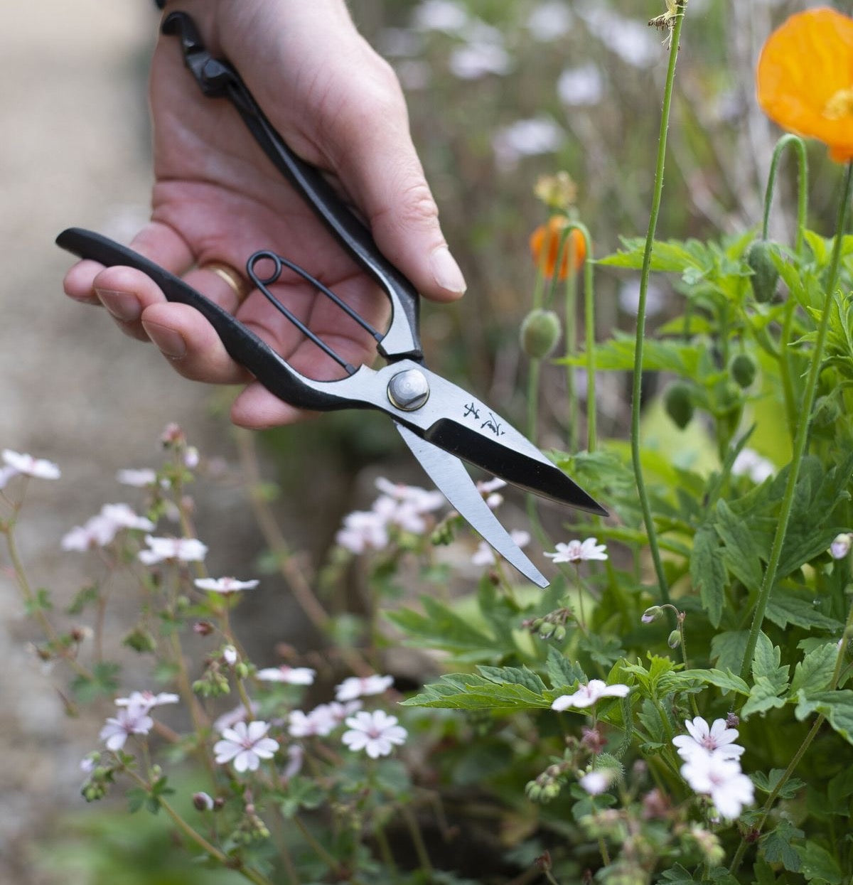 Niwaki - Premium Japanese Home & Garden Tools Online