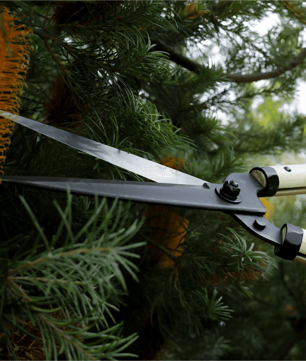 Niwaki Garden Shears + Sheath - Secateurs & Garden Shears